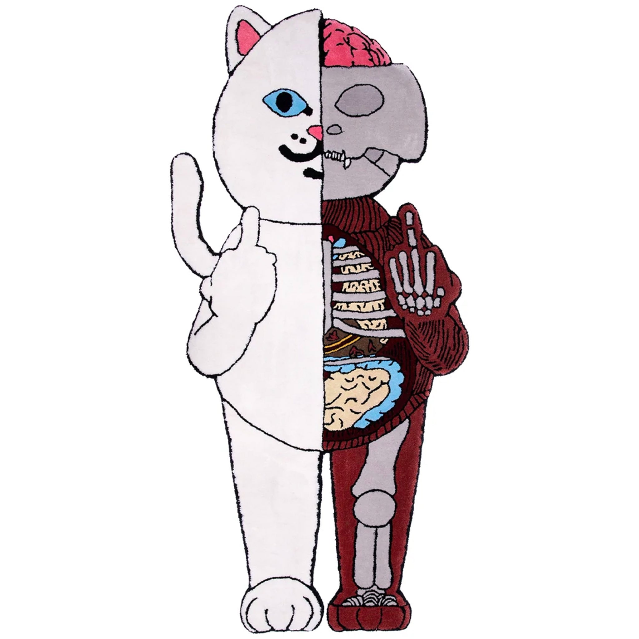 Nermal Anatomy Rug 6 Ft Rug – Capsul